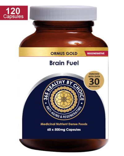 Brain Fuel 120 Capsules - 365 Healthy By Choice